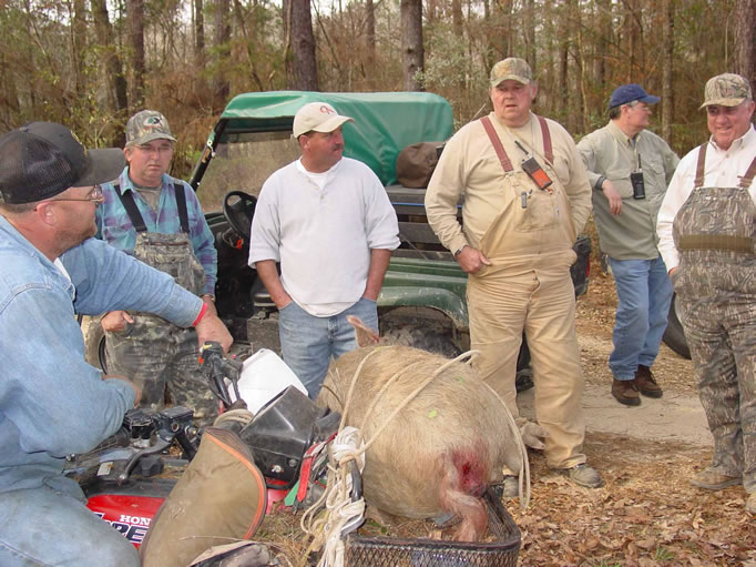 Chuck Niquette's Hunting Adventures: Mississippi Hog Hunt February 2005
